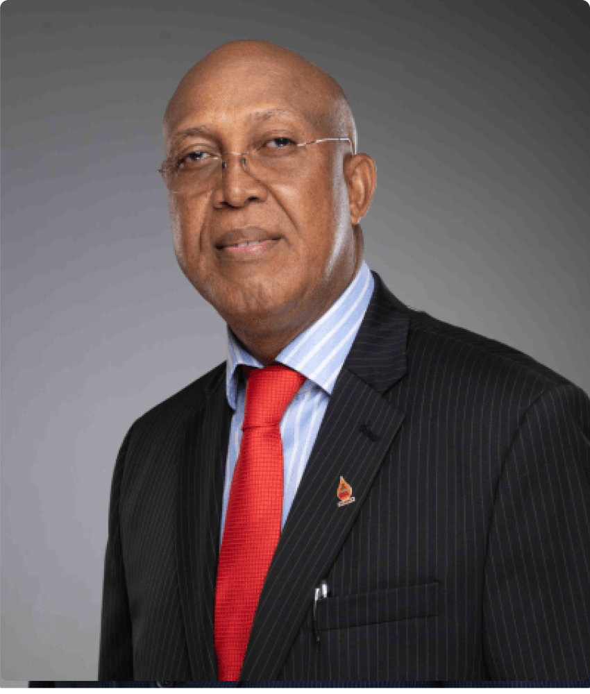 Board of Directors | PremiumTrust Bank | Providing innovative solutions ...